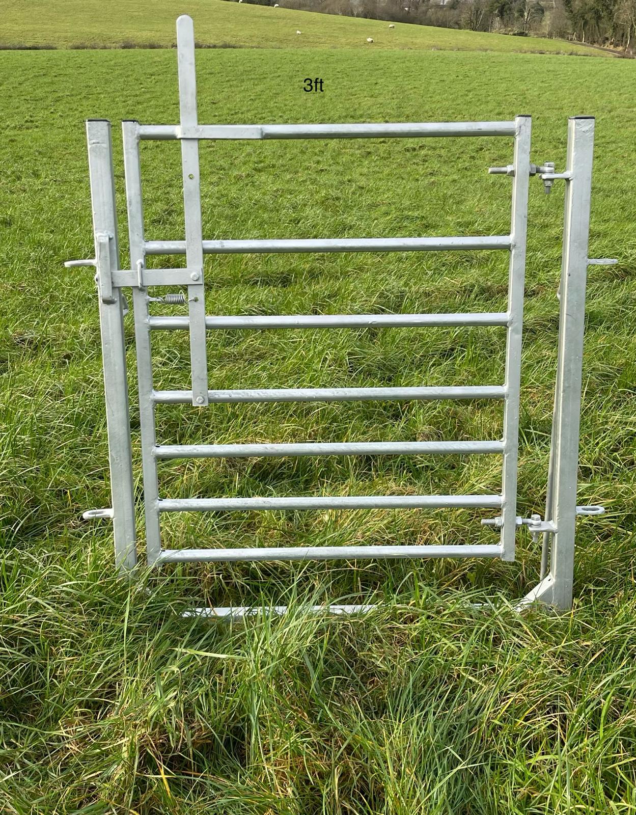 Sheep Swinging Gates In Frame – Leam Agri Ltd