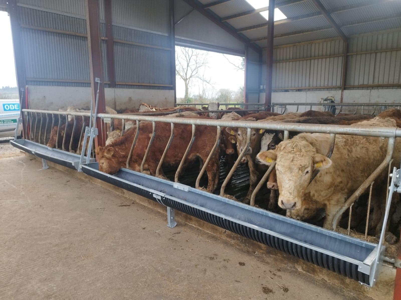 Cattle Feed Trough Design Rectangle Water Trough | Vikon Precast