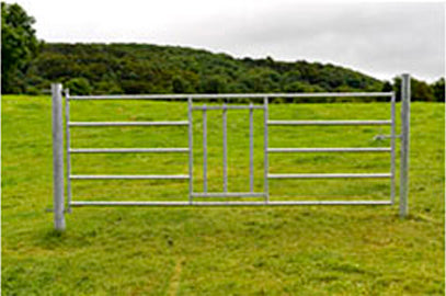 12ft D6 Calf Creep Gate – Leam Agri Ltd