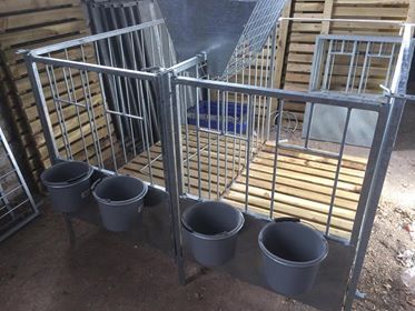 Calf Pens - Railed Side and Timber Floor – Leam Agri Ltd