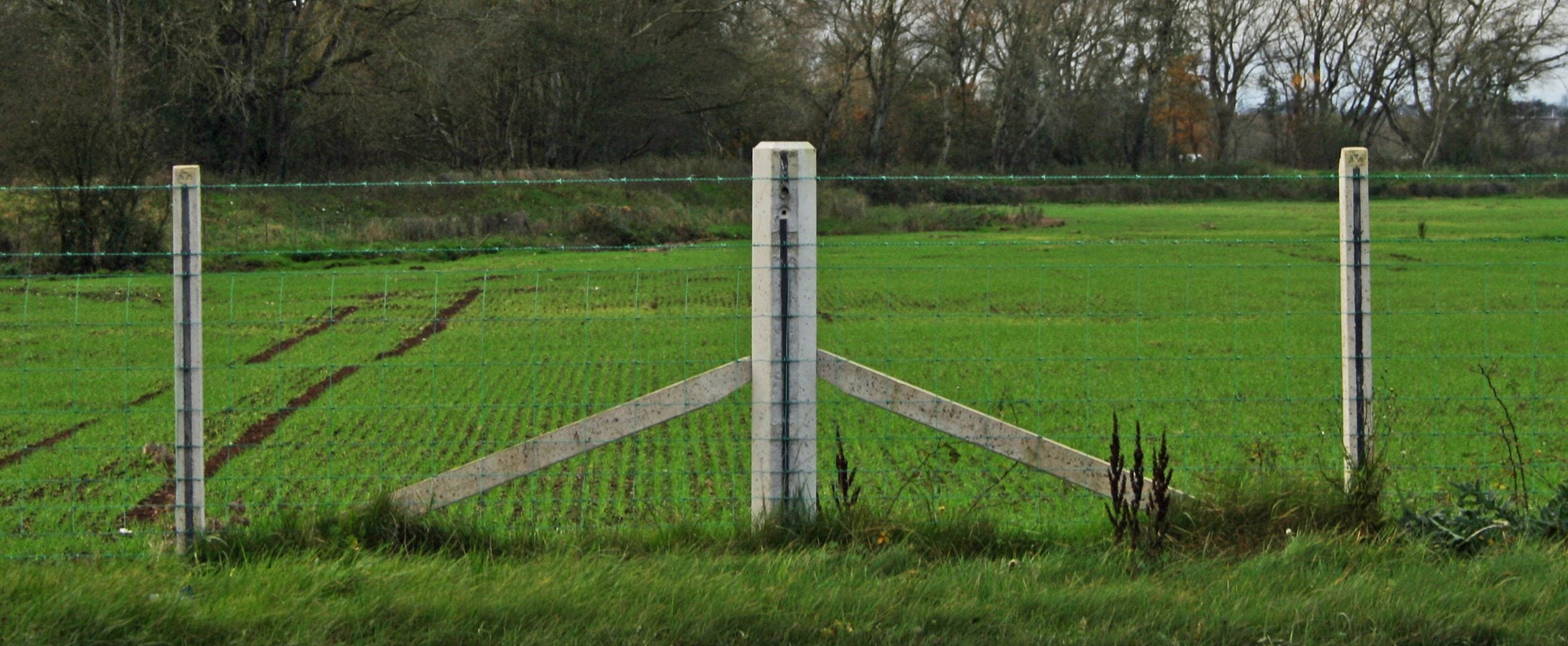 Concrete Ox Post & Strainers – Leam Agri Ltd