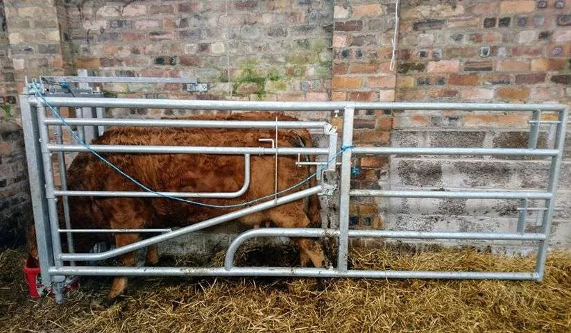 Bo Steel Calving Panel – Leam Agri Ltd