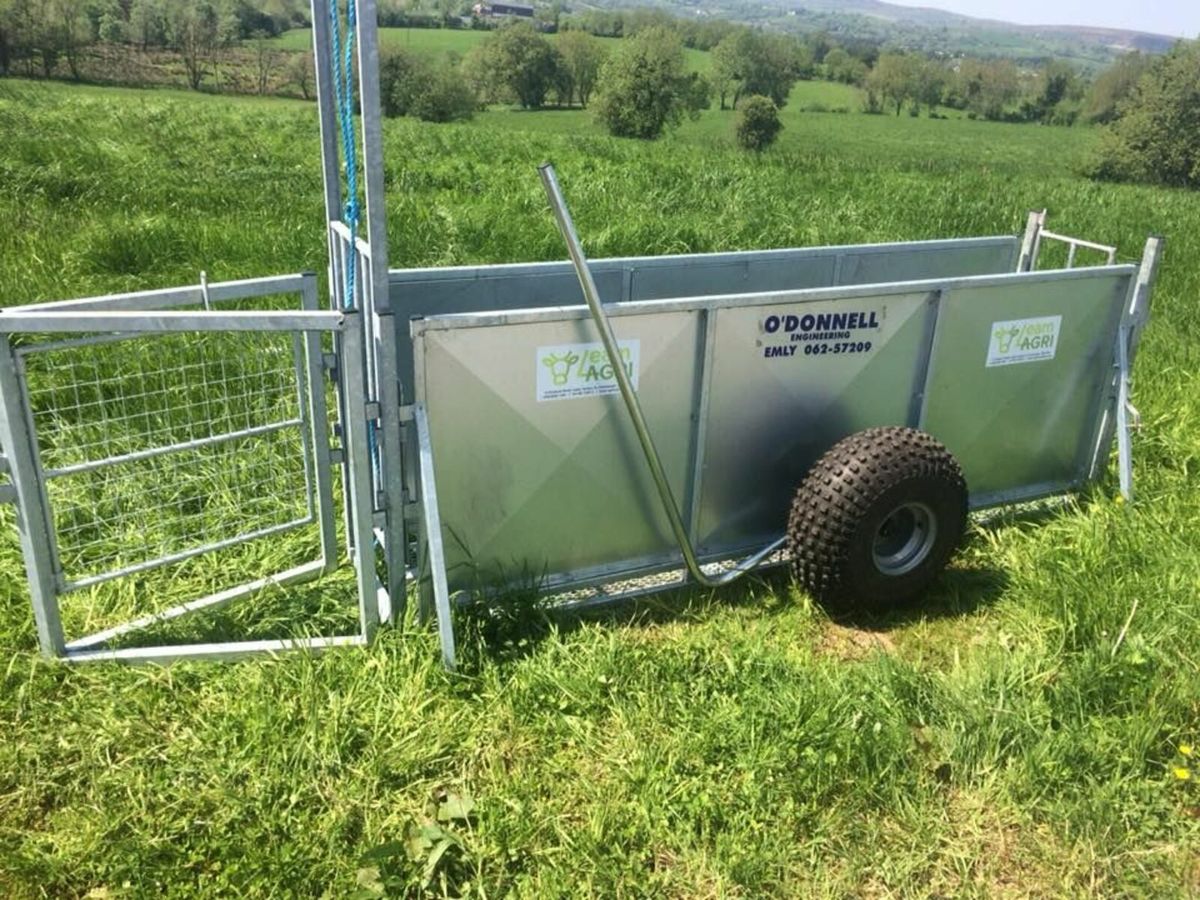 O'Donnell 8ft Mobile Sheep Race Unit – Leam Agri Ltd